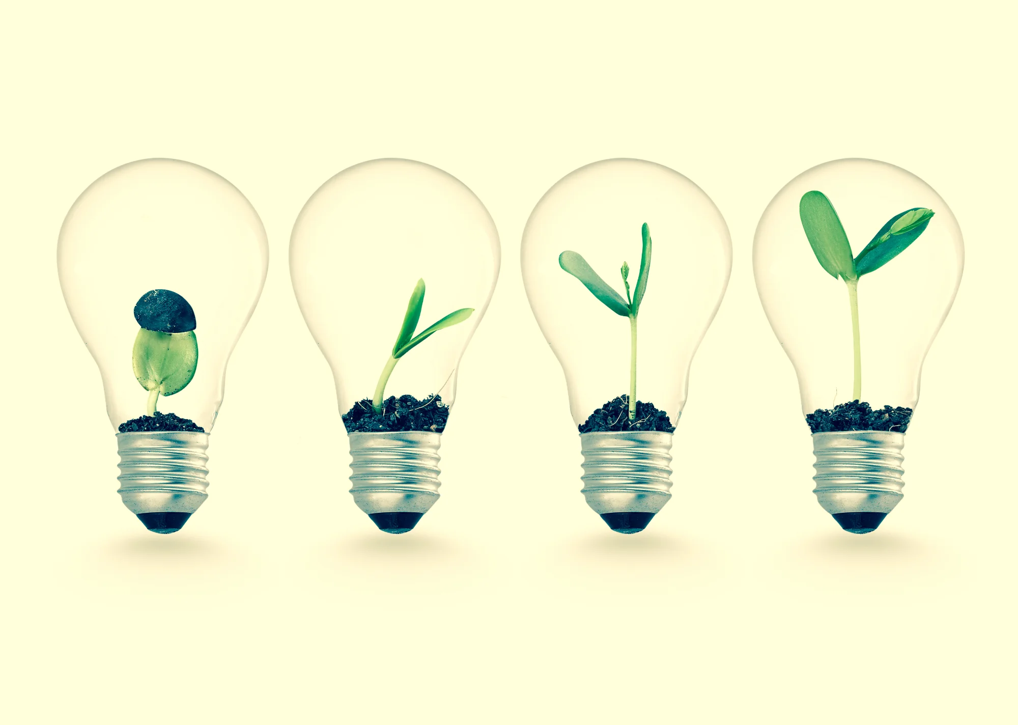 Designing Competency Frameworks | WeSoar Playbook